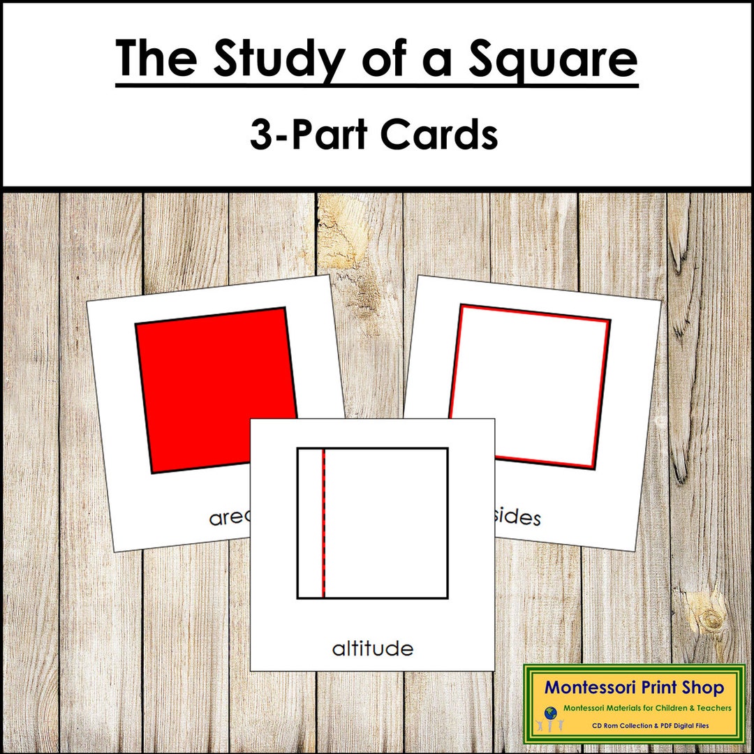 The Study of a Square Nomenclature 3-part Cards - Montessori Geometry ...