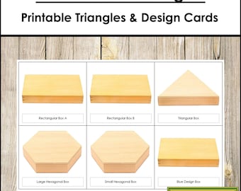 Parts of a Honey Bee Nomenclature 3-part Cards Montessori Zoology ...