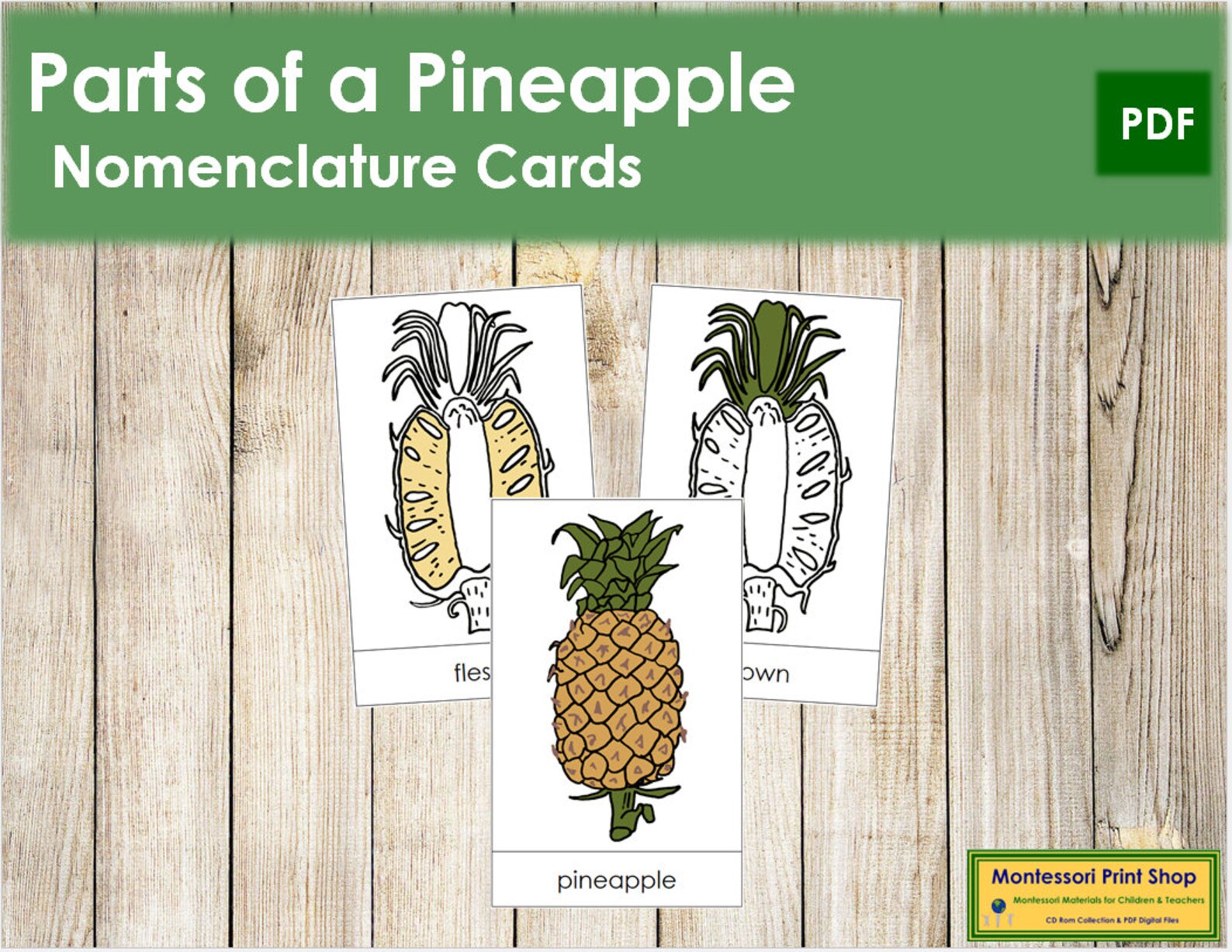 Parts of a Pineapple Nomenclature 3-part Cards Montessori - Etsy Canada