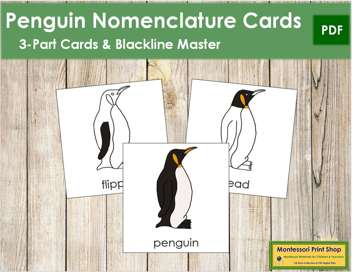 Parts of a Penguin Nomenclature 3-part Cards Montessori - Etsy