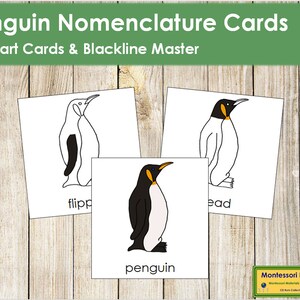 Parts of a Penguin Nomenclature 3-part Cards Montessori - Etsy