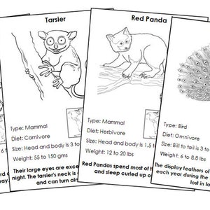 Animals of Asia Facts & Picture Cards (blackline Masters) - Montessori ...