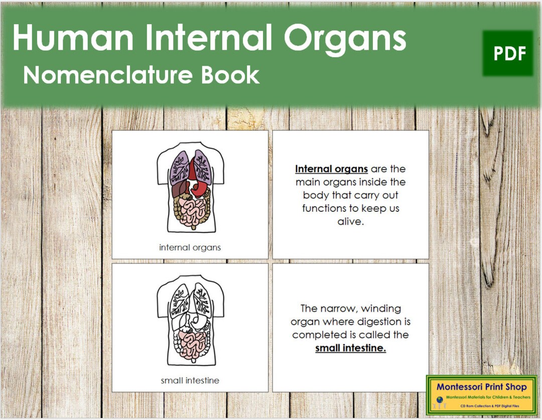 Human Internal Organs Nomenclature Book Science Printable - Etsy