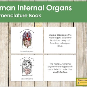 Human Internal Organs Nomenclature Book Science Printable - Etsy
