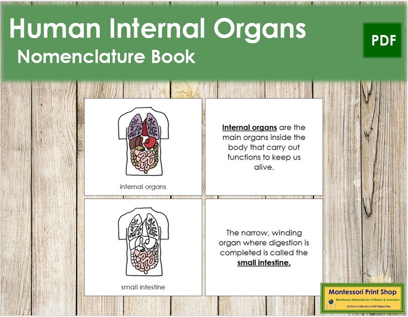 Human Internal Organs Nomenclature Book Science Printable - Etsy