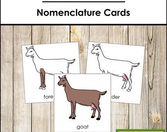 Montessori 3 Part Cards Parts of a Bison - Etsy