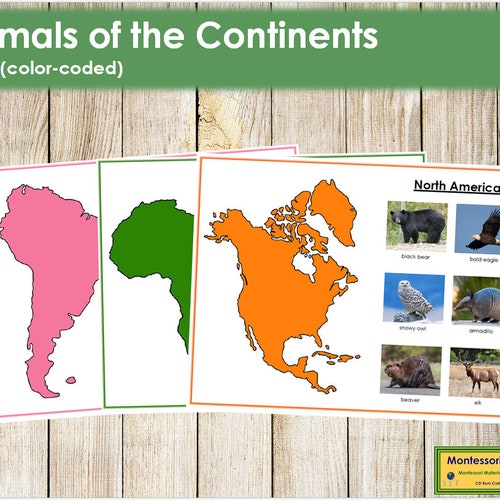 Animals of the Continents Set 1 Montessori Geography & - Etsy