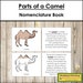 Parts of a Camel Nomenclature Book - Montessori Zoology (digital ...