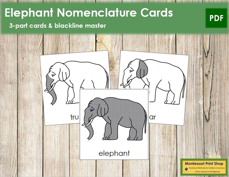 Parts of an Elephant Nomenclature 3-part Cards Montessori | Etsy