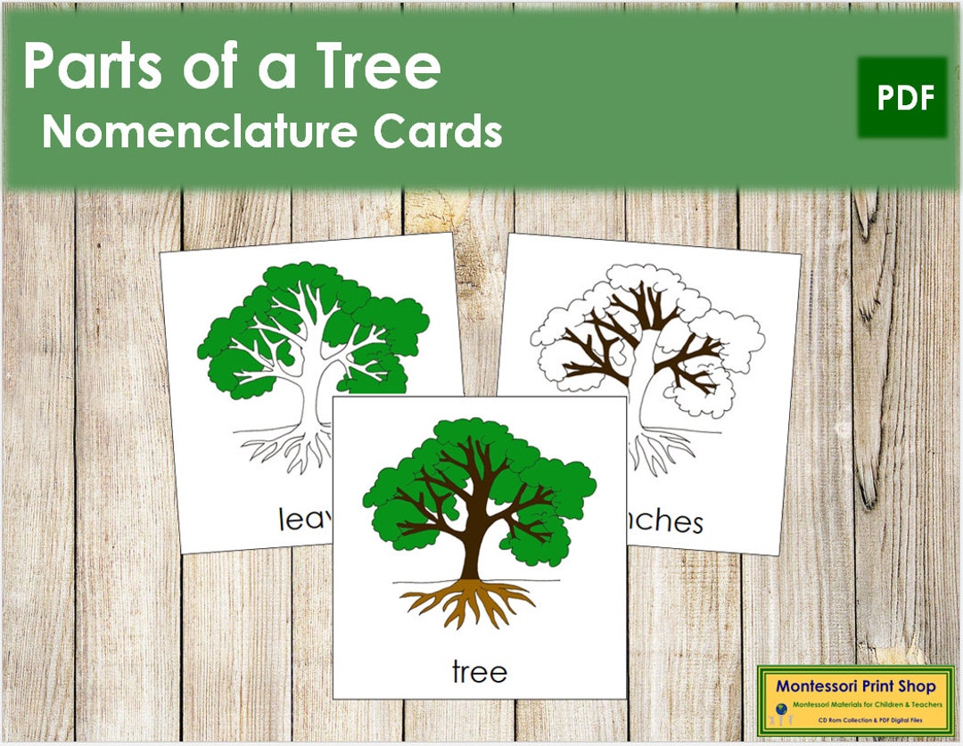 Parts of a Tree Nomenclature 3-part Cards Montessori Botany - Etsy