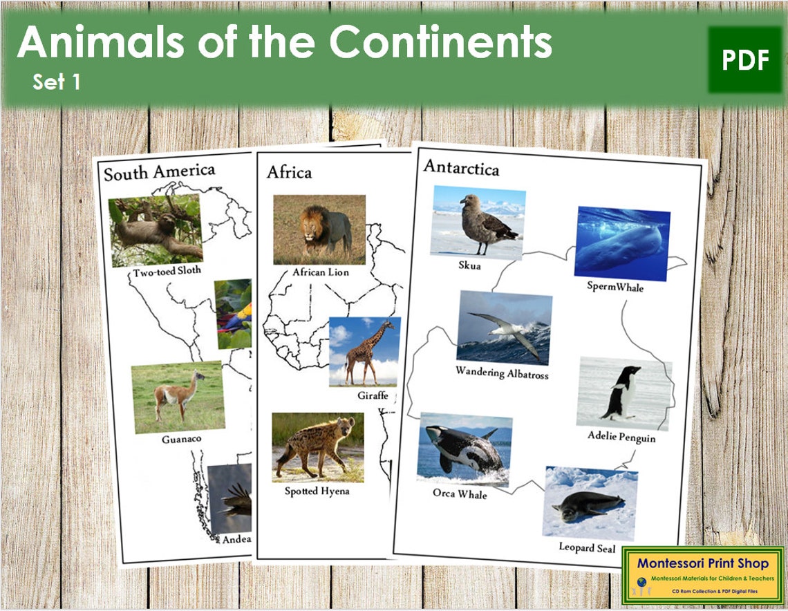 Animals of the Continents Set 1 Montessori Geography & - Etsy