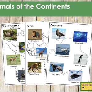Animals of the Continents Set 1 Montessori Geography & - Etsy
