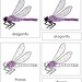 Parts of a Dragonfly Nomenclature 3-part Cards - Montessori Zoology ...