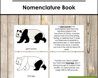 Montessori 3 Part Cards Parts of a Giant Panda - Etsy