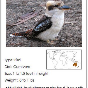 Montessori Animals of Australia/oceania Information Cards [facts ...