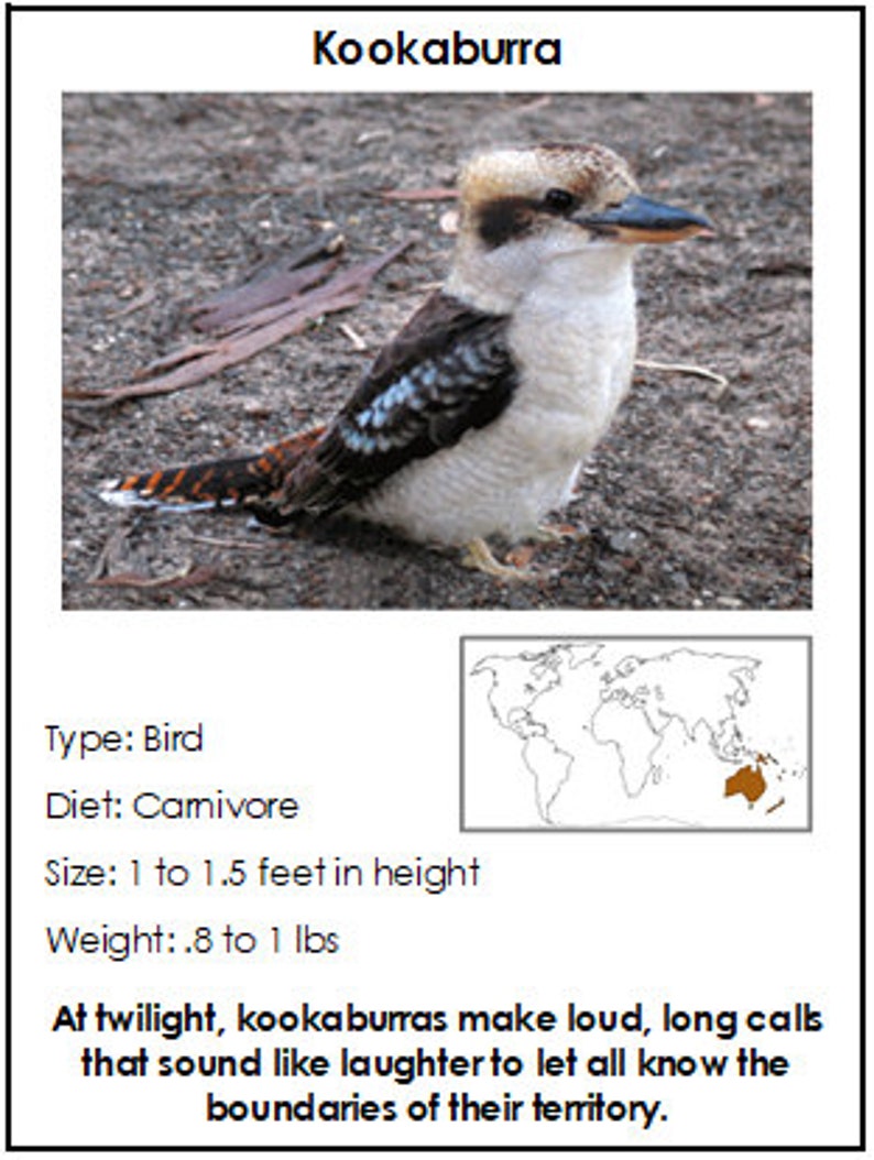 Montessori Animals of Australia/oceania Information Cards [facts ...