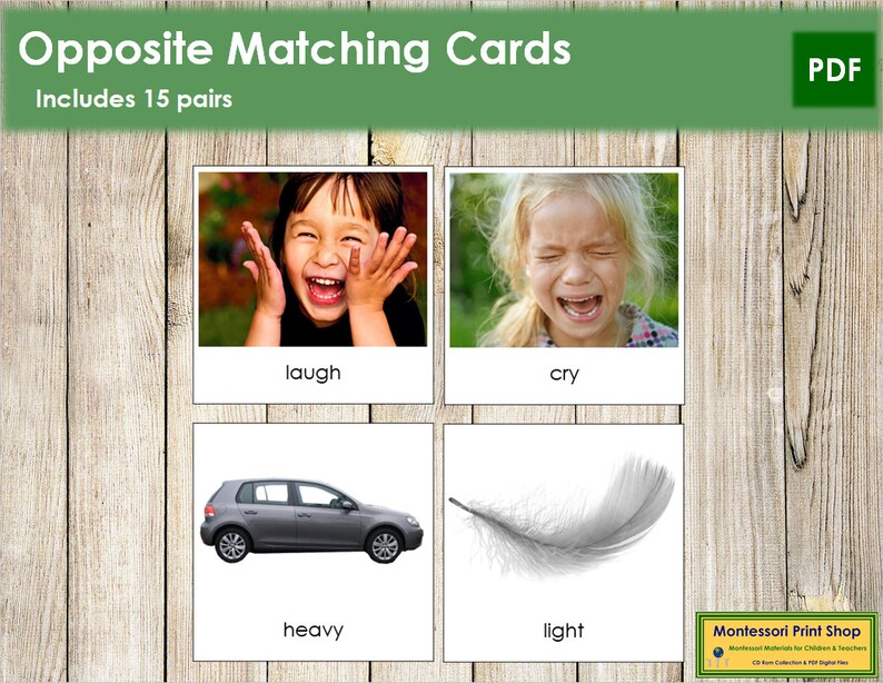 Opposite Matching Cards Montessori Language & Grammar - Etsy