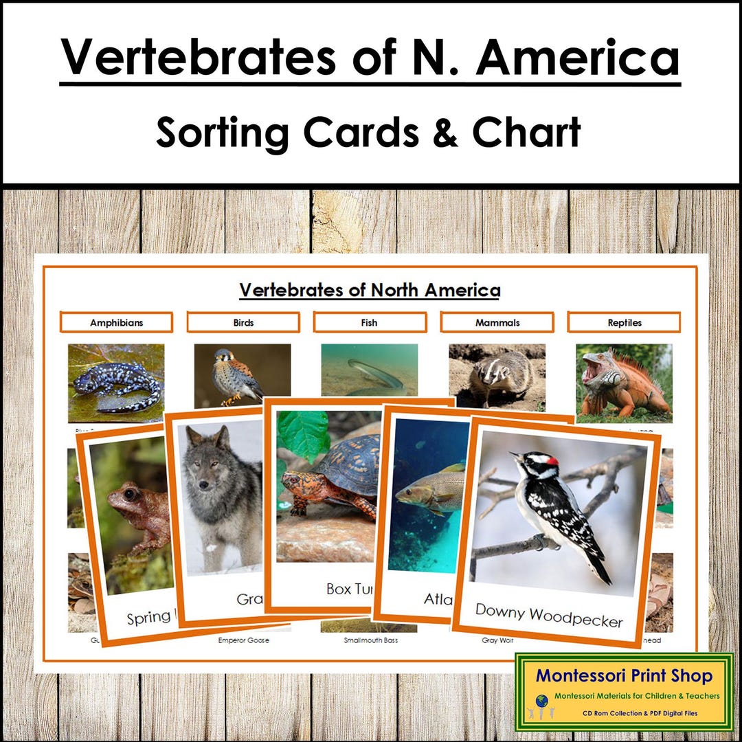 Montessori Vertebrates of North America Sorting Cards & Chart [color ...
