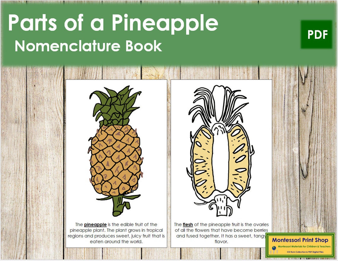 Parts of a Pineapple Nomenclature Book Montessori Botany - Etsy