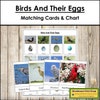 Vertebrates and Invertebrates Sorting Cards & Control Chart - Zoology ...