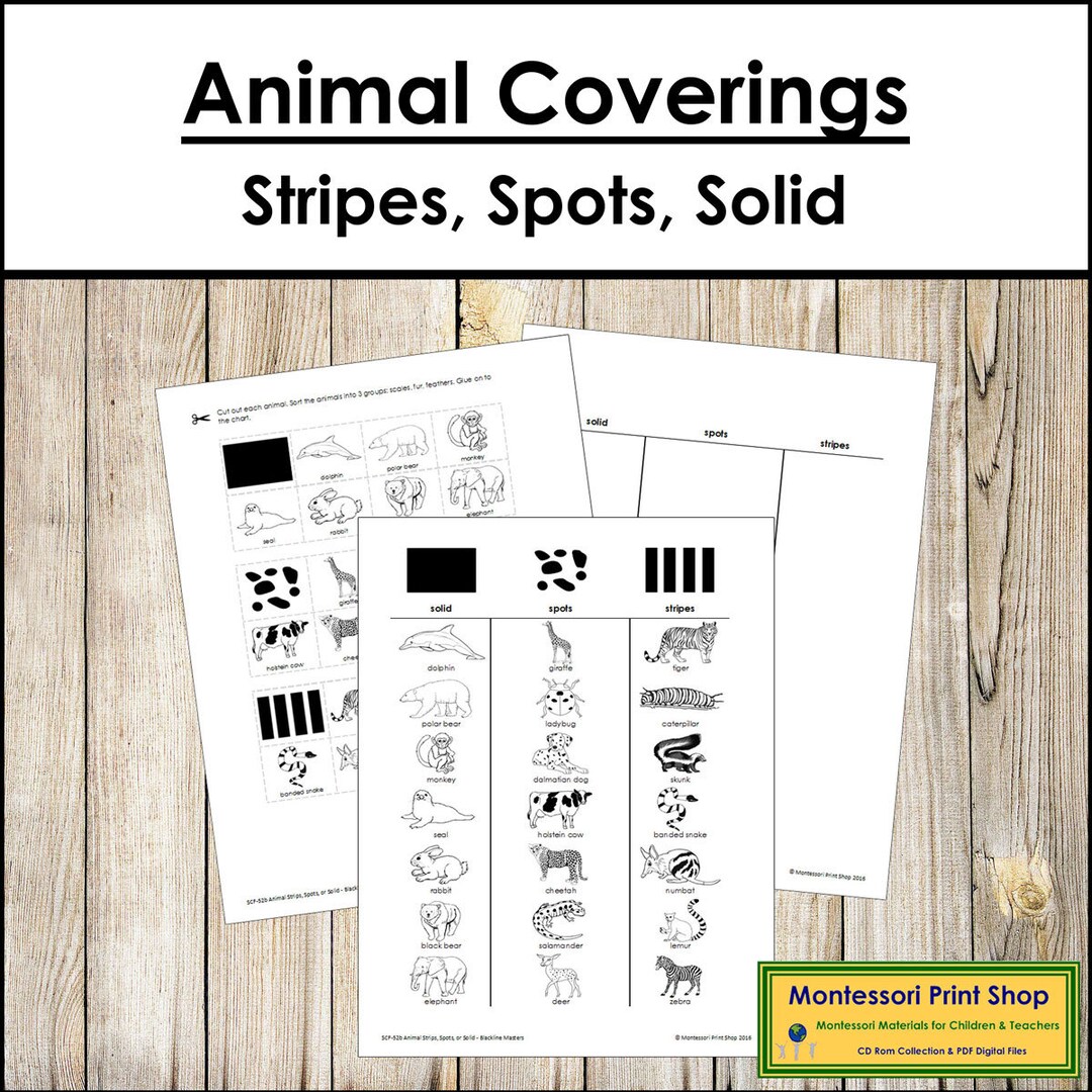 Animal Coverings Sorting Cut & Paste [blackline Masters] - Montessori ...