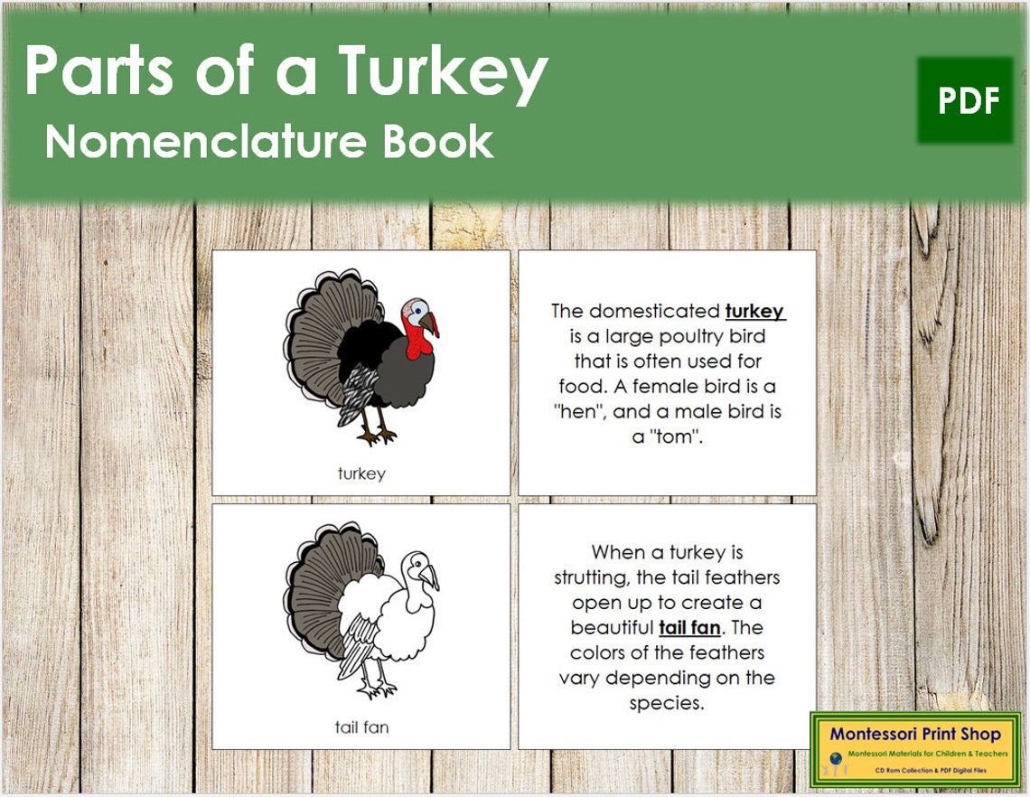 Parts of a Turkey Nomenclature Book Montessori Zoology - Etsy