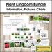 Plant Kingdom Charts & Cards Bundle - Montessori Botany Classification ...
