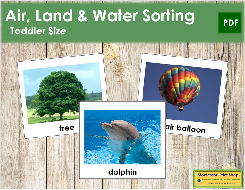 Air Land & Water Sorting Cards Printable Toddler Montessori - Etsy