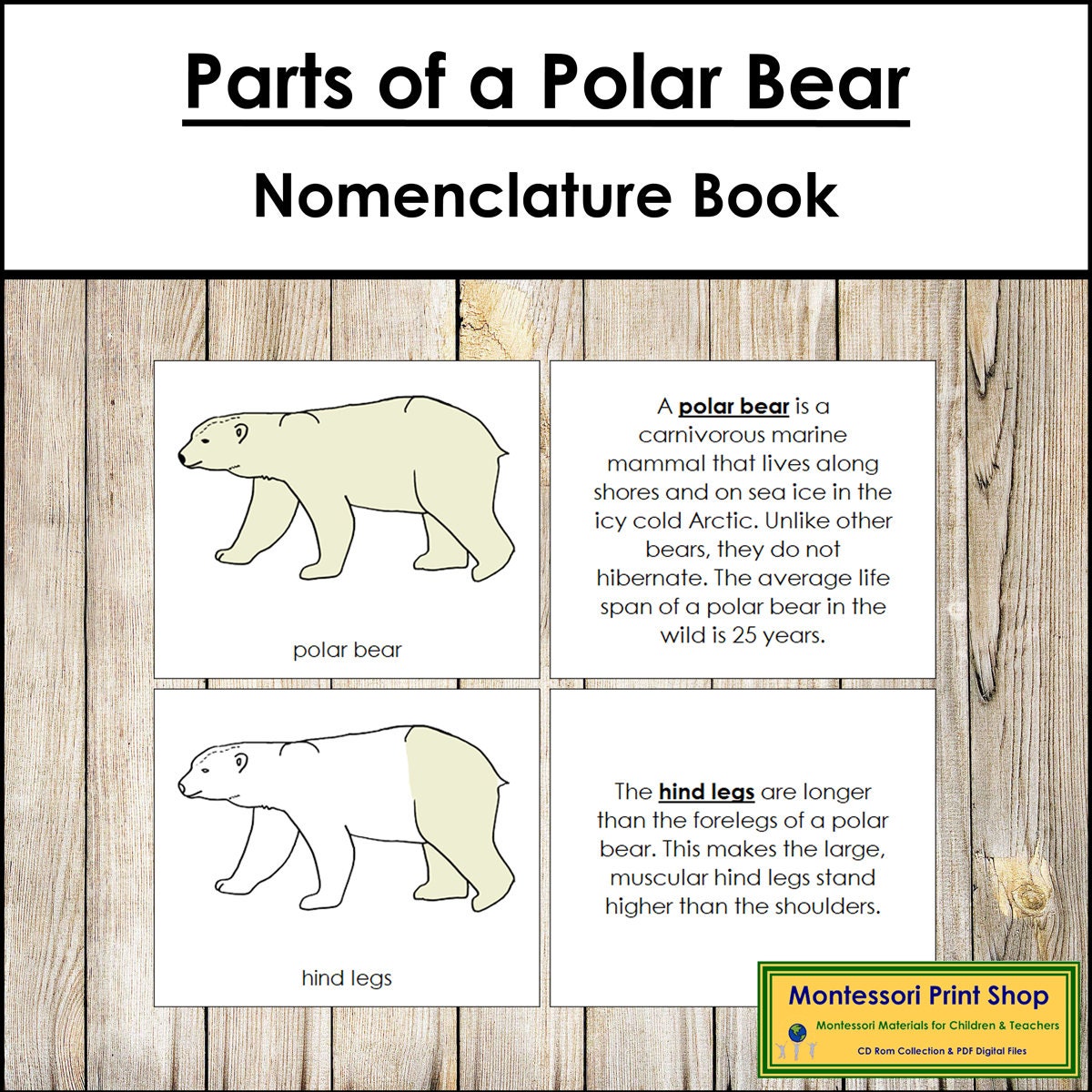 Parts of a Polar Bear Nomenclature Book Montessori Zoology Printable ...