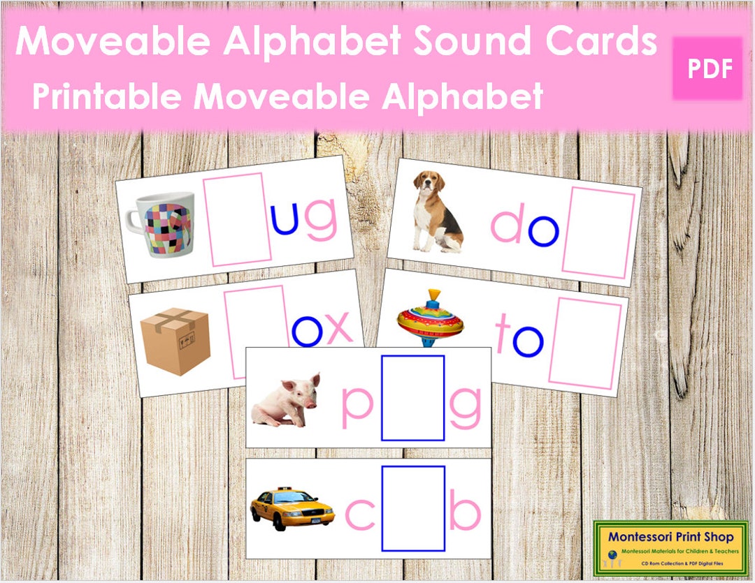 Montessori Moveable Alphabet Sound Cards Bundle Pink/blue - Etsy