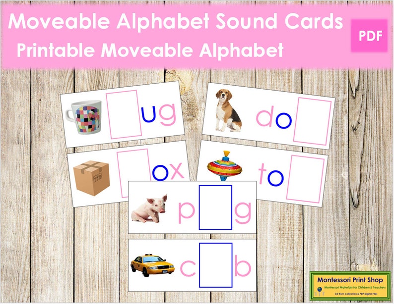 Montessori Moveable Alphabet Sound Cards Bundle Pink/blue - Etsy