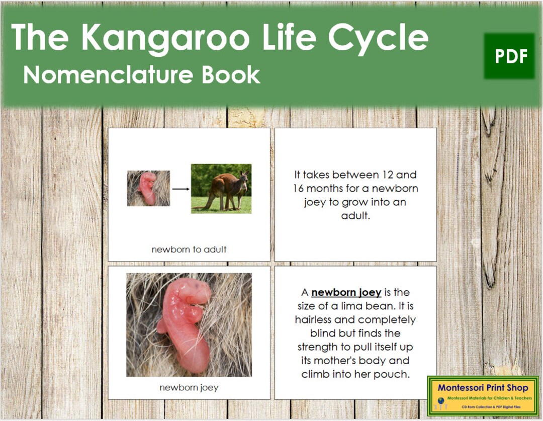 The Kangaroo Life Cycle Book Montessori Nomenclature - Etsy