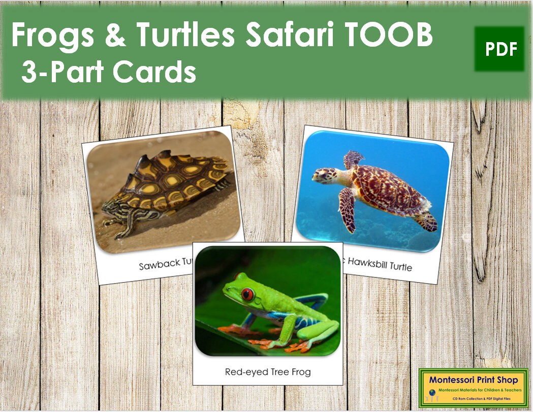 Frogs & Turtles Safari TOOB Cards Printable Montessori Cards - Etsy