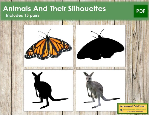 Animal Silhouette Matching Cards Printable Montessori - Etsy