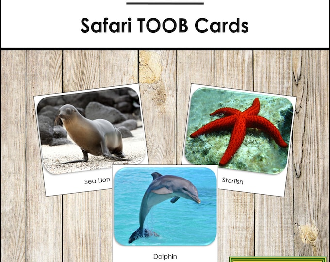 Fruit and Vegetables Safari Toob Montessori 3-part Cards for Safari ...