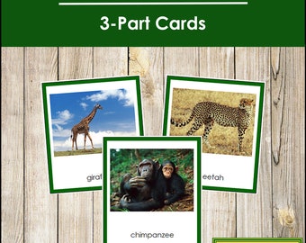 Animal and Continent Wheels Continents Wheels and Toys - Etsy