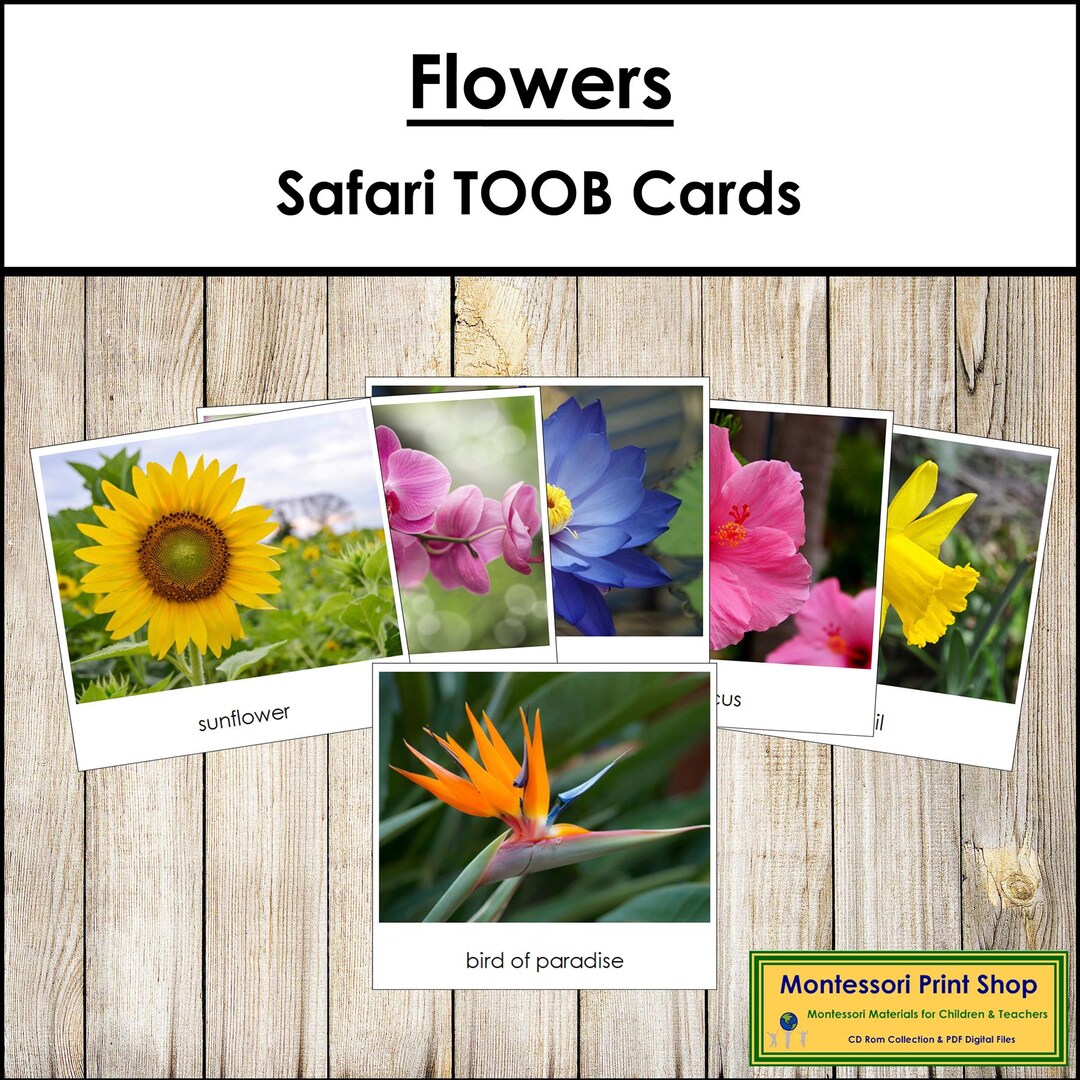 Flowers Safari TOOB Cards - Montessori 3-part Cards (digital Download ...