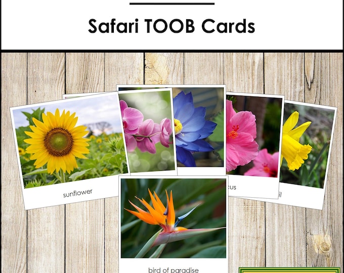 Flowers Toob - Safari LTD Identification Cards - Etsy Canada