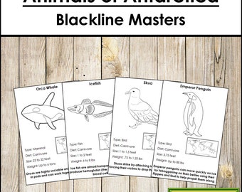 Animal Movement swim Walk & Fly Zoology Printable - Etsy