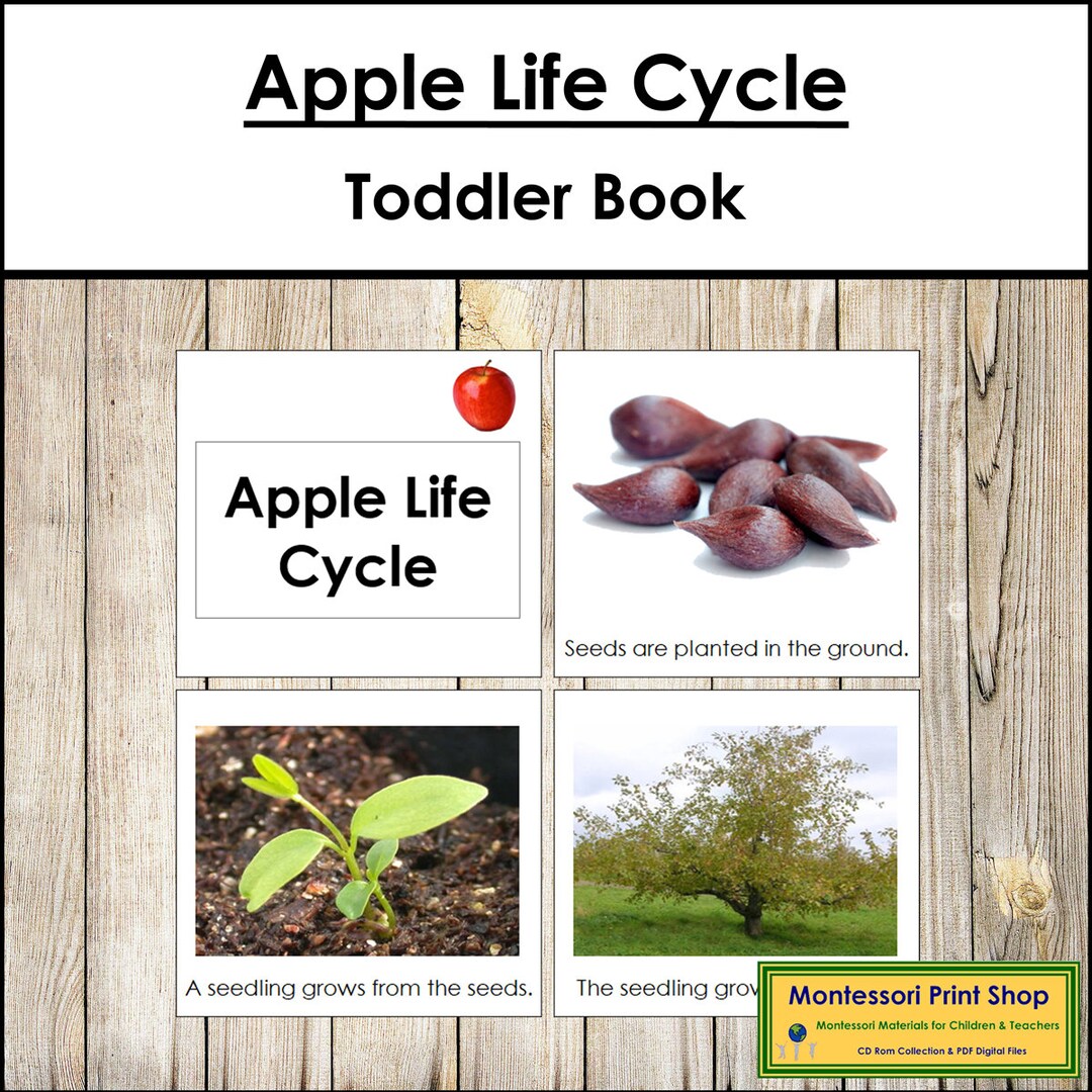 Apple Life Cycle Book - Printable Toddler Montessori Materials ...