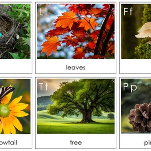 Phonetic Nature Alphabet Cards - Printable Pre-reading Montessori Cards ...