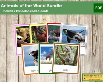 Montessori Maps of the World Bundle color-coded Geography | Etsy