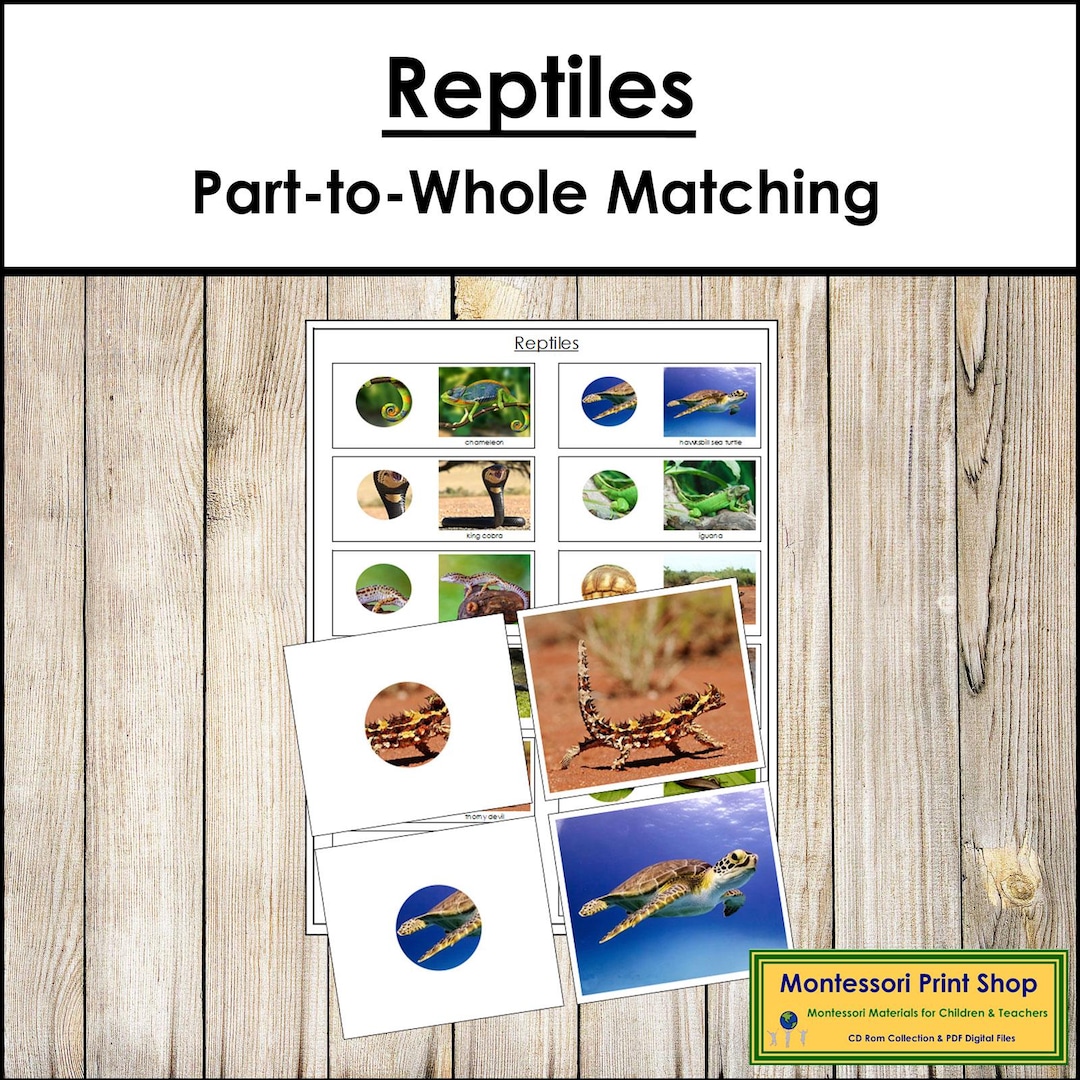 Reptiles Part-to-whole Matching Cards & Control Chart - Montessori ...