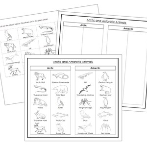 Arctic and Antarctic Animal Sorting Cut & Paste [blackline Masters ...