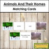 Habitat Matching Cards; Habitat Sorting Activity; Match the Animal to ...