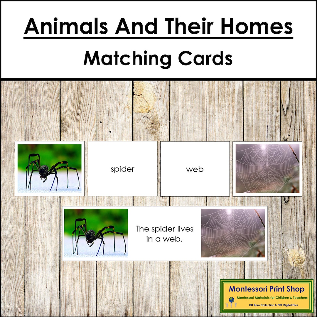 Animals and Their Homes Matching Cards - Zoology - Printable Montessori ...