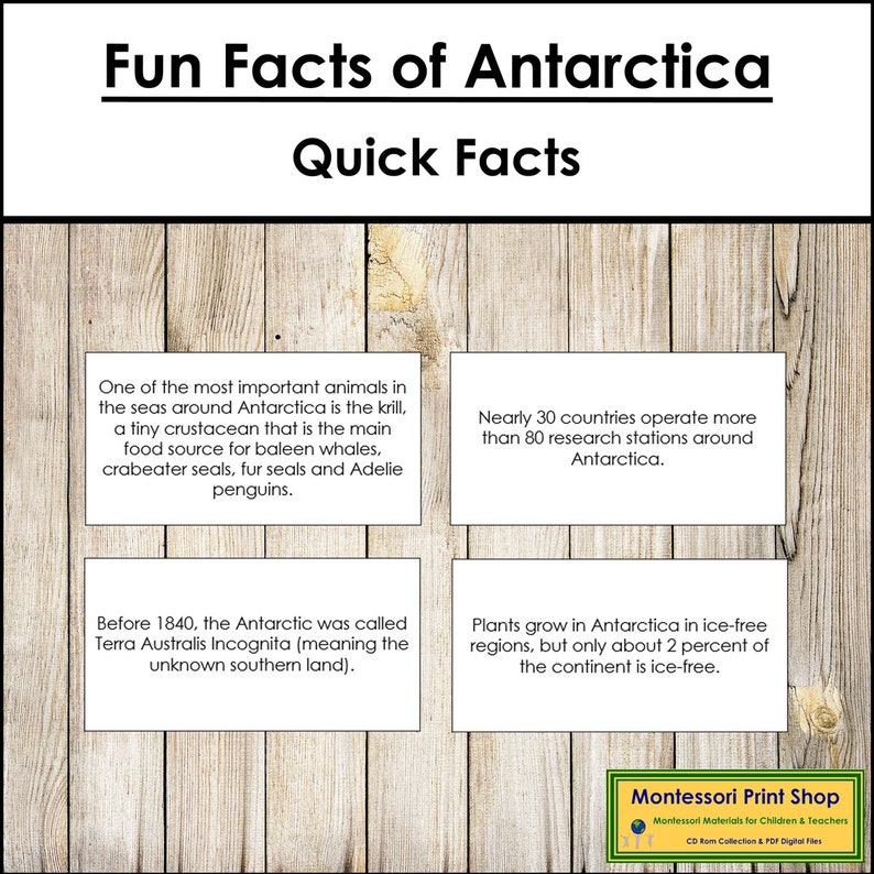 Montessori Fun Facts of Antarctica Cards - Continent Cards (digital ...