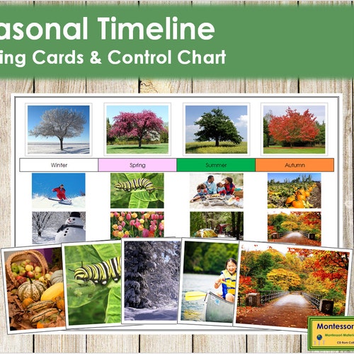 Seasonal Timeline Sorting Cards & Control Chart Preschool - Etsy