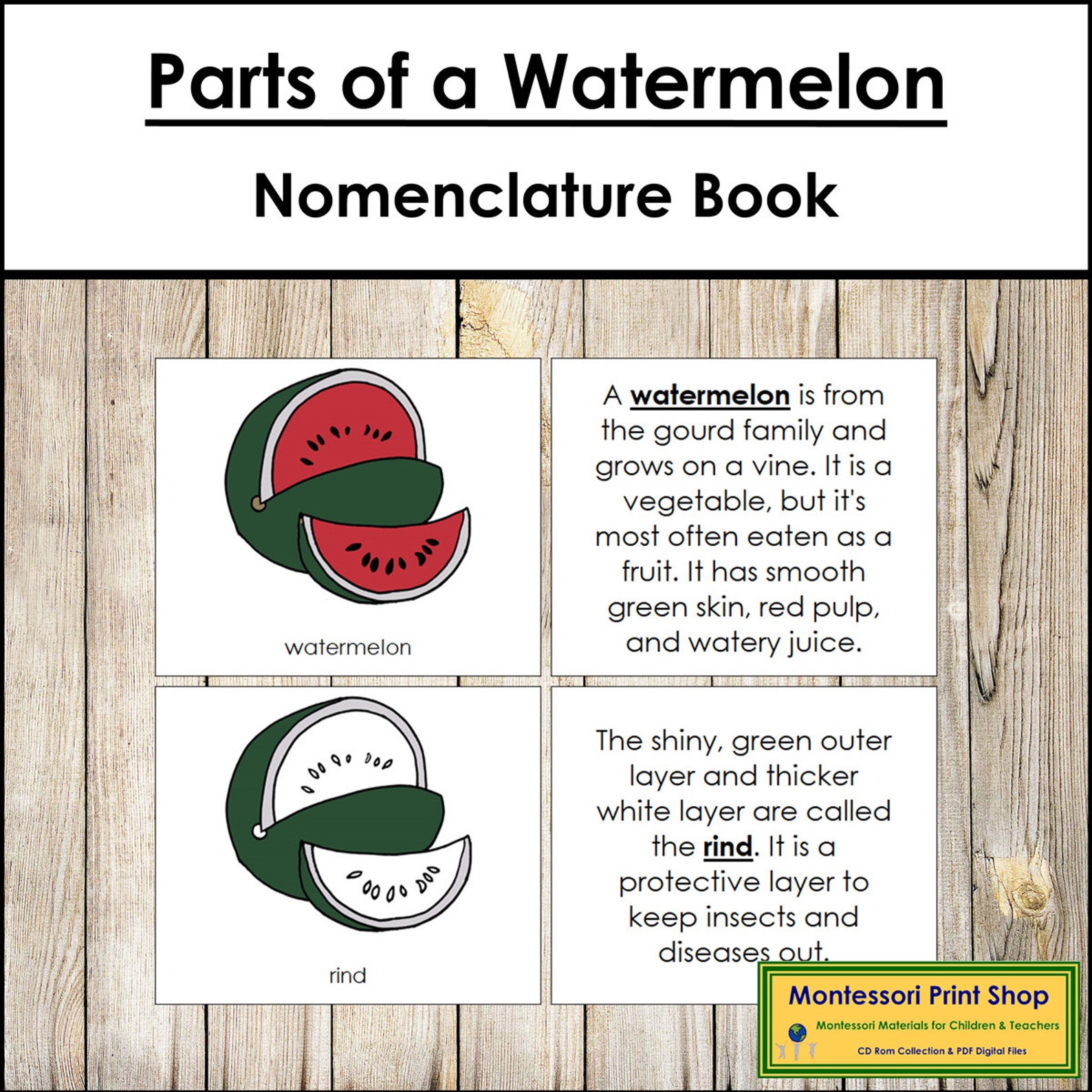 Parts of a Watermelon Nomenclature Book - Montessori Botany (digital ...