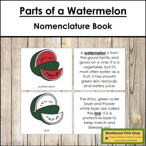 Parts of a Watermelon Nomenclature Book - Botany - Printable Montessori ...